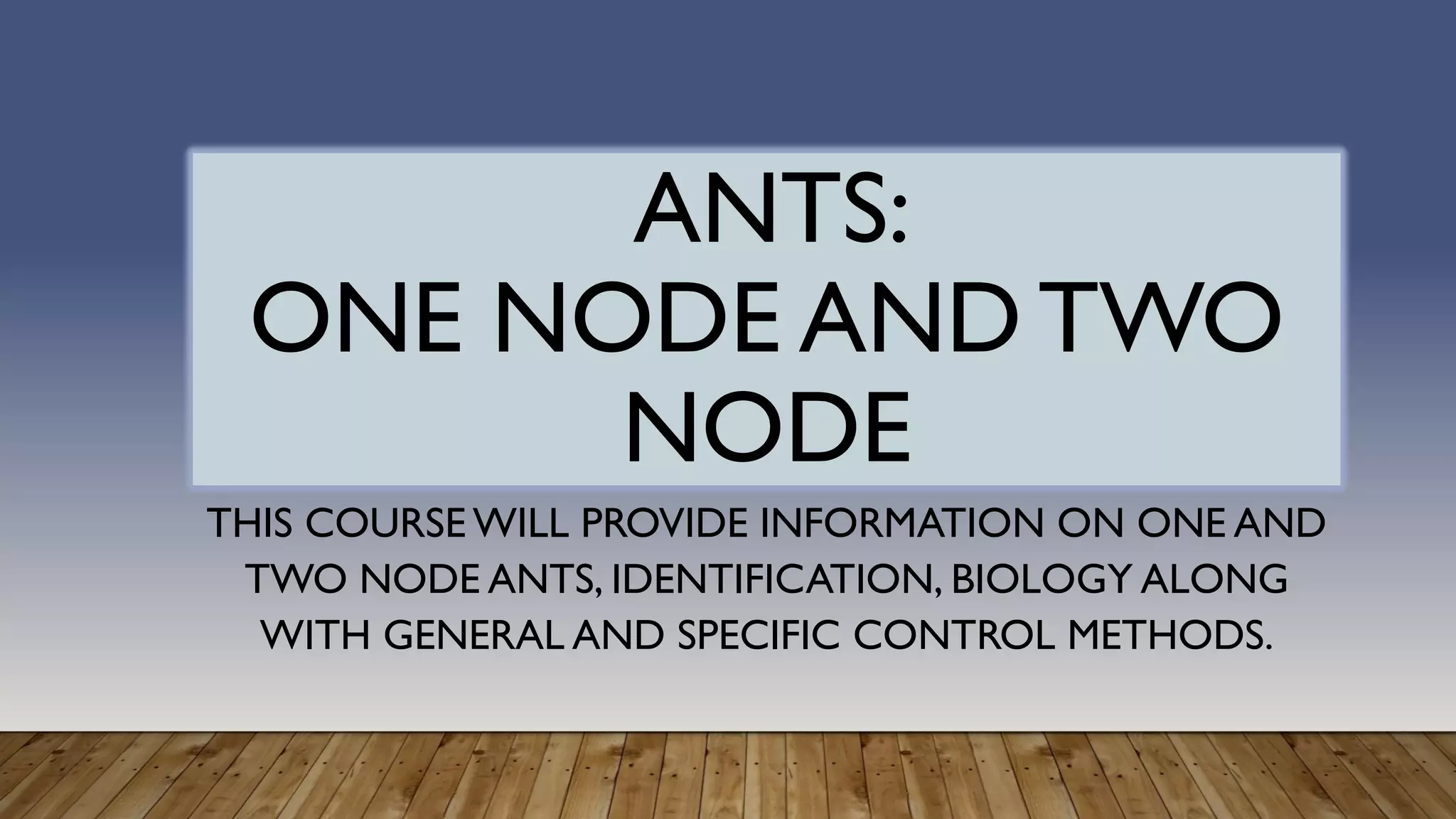 Ants One Node and Two Node.pdf