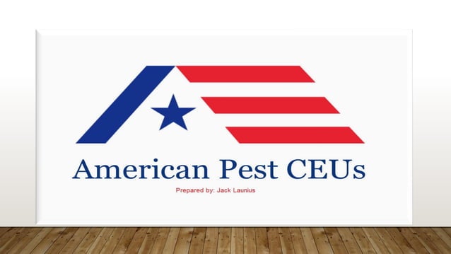 Ants One Node and Two Node.pdf