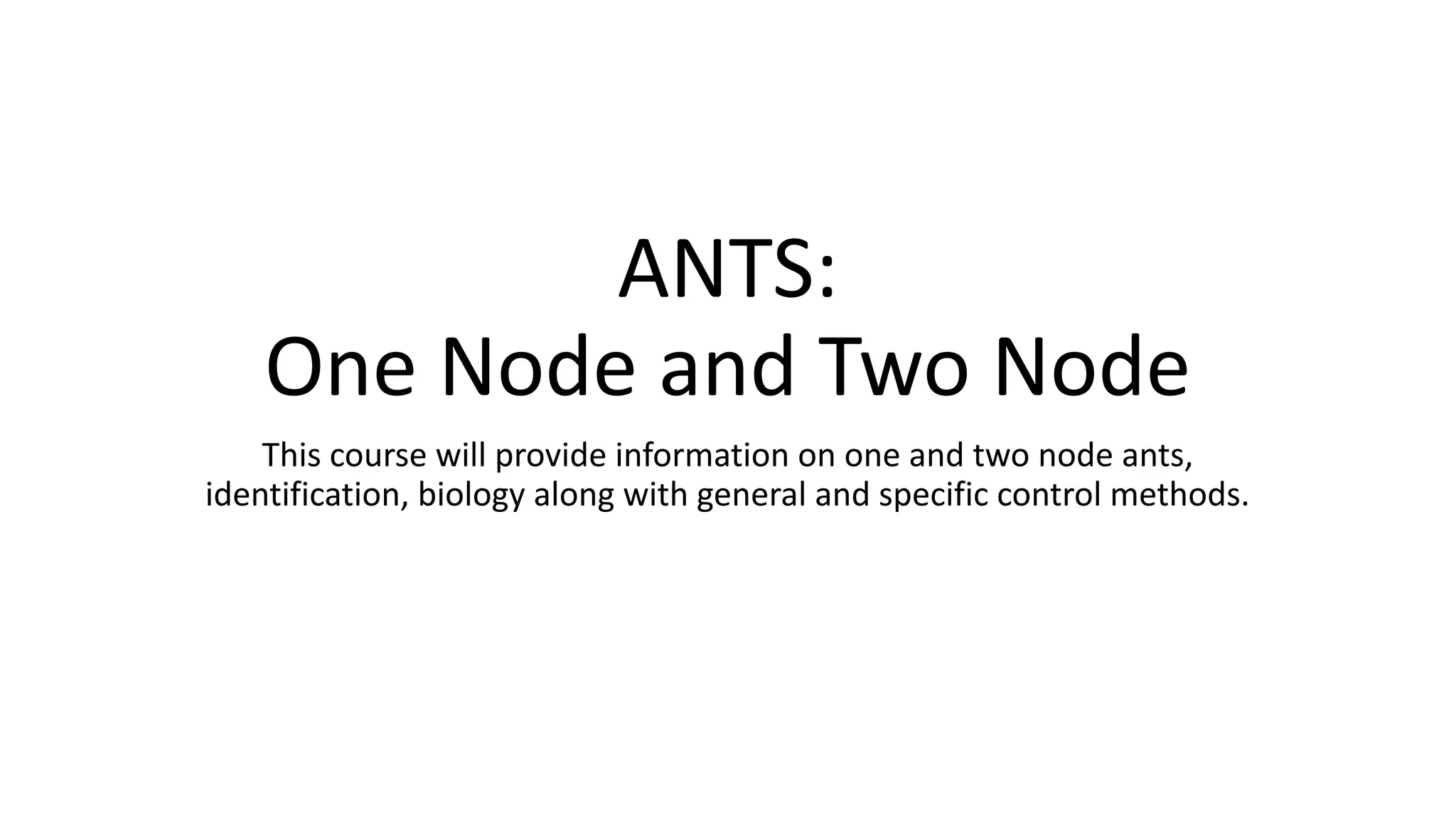 Ants One Node and Two Node (3).pdf