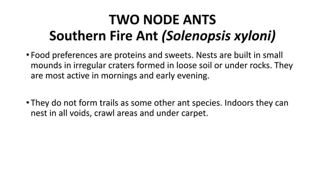 Ants One Node and Two Node (3).pdf