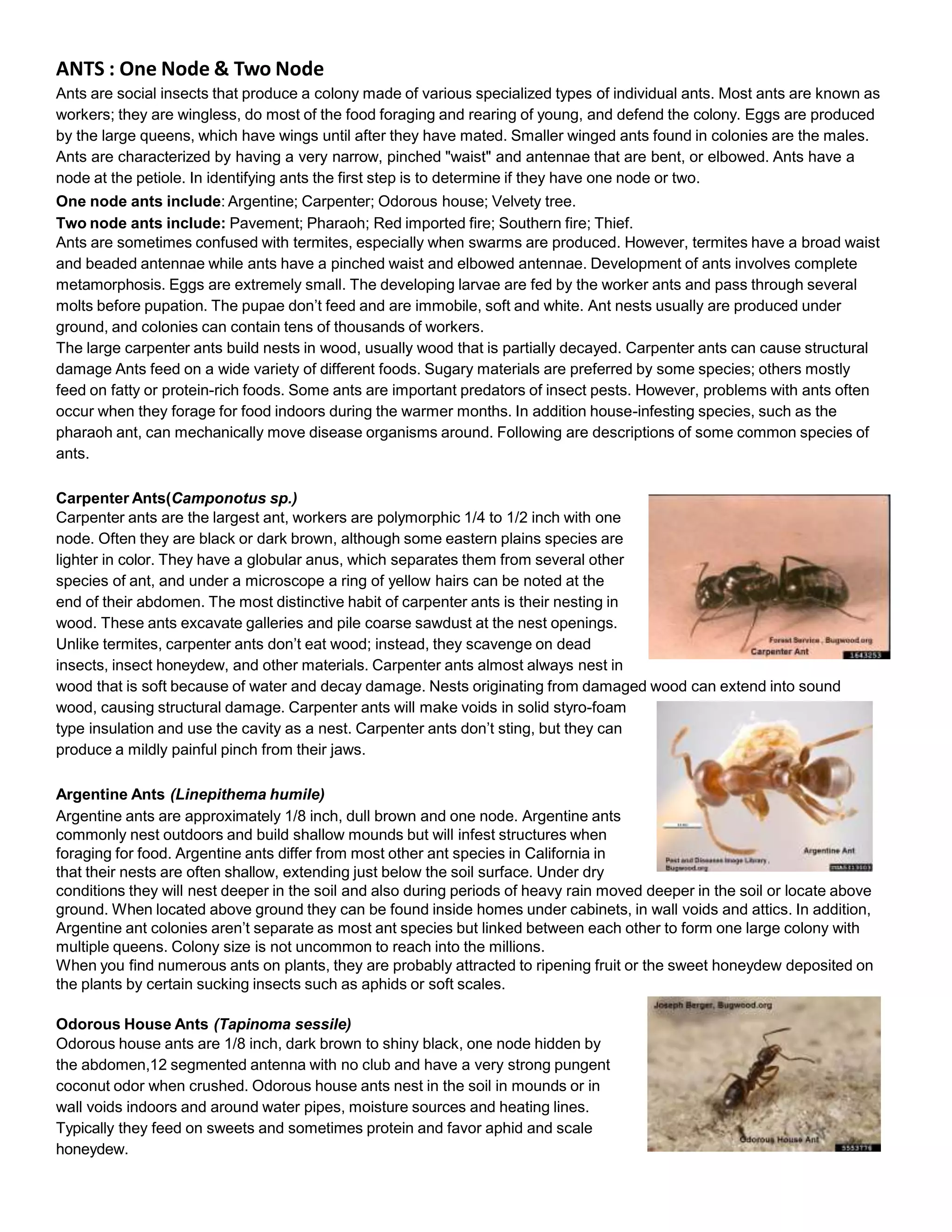 ANTS One & Two Node 1 Hr Br 2 Tech.doc.pptx