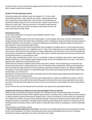 ANTS One & Two Node 1 Hr Br 2 Tech.doc.pptx