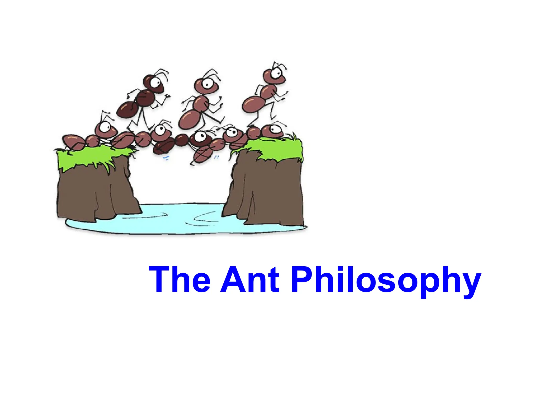 Ants Philosophy for management motivation.pptx