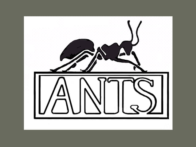 Ants presentation | PPT
