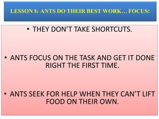 ANT STRATEGIES FOR PERSONAL GROWTH and organization | PDF | Beekeeping ...