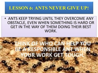 ANT STRATEGIES FOR PERSONAL GROWTH and organization | PDF | Beekeeping ...