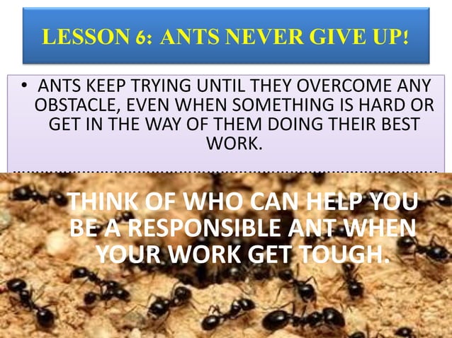 ANT STRATEGIES FOR PERSONAL GROWTH and organization | PDF