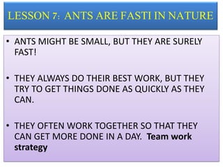 ANT STRATEGIES FOR PERSONAL GROWTH and organization | PDF | Beekeeping ...