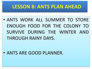 ANT STRATEGIES FOR PERSONAL GROWTH and organization | PDF | Beekeeping ...