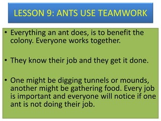 ANT STRATEGIES FOR PERSONAL GROWTH and organization | PDF | Beekeeping ...
