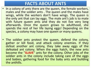 ANT STRATEGIES FOR PERSONAL GROWTH and organization | PDF