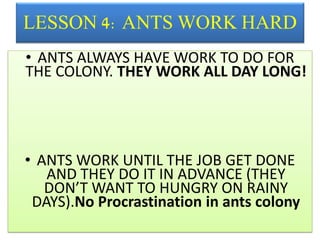 ANT STRATEGIES FOR PERSONAL GROWTH and organization | PDF