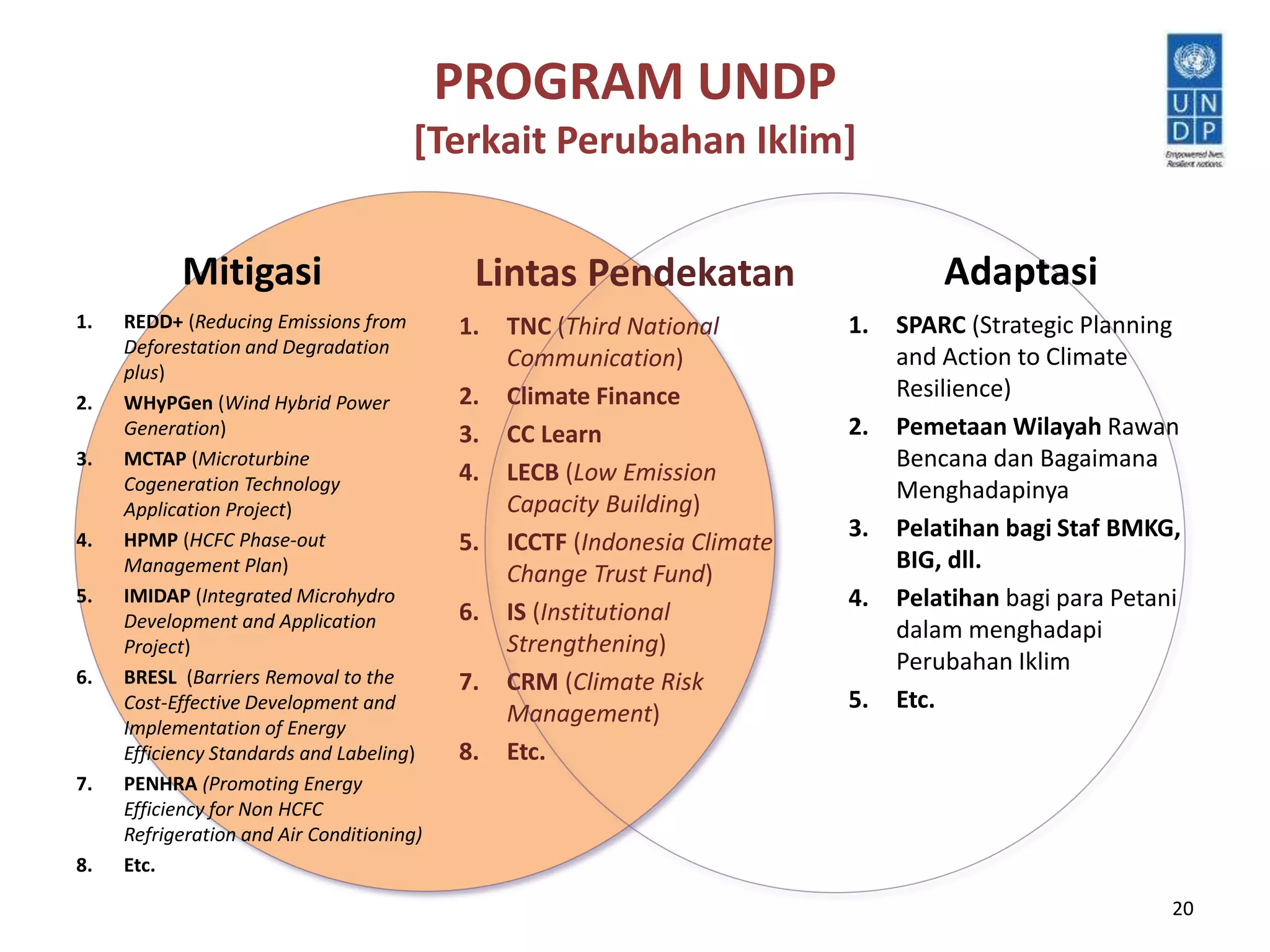 Peran UNDP Dalam Menghadapi Isu Perubahan Iklim | PDF