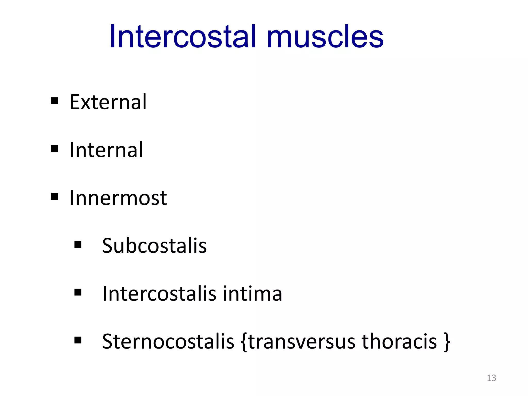 Ant thoracic wall and intercostal space | PPT