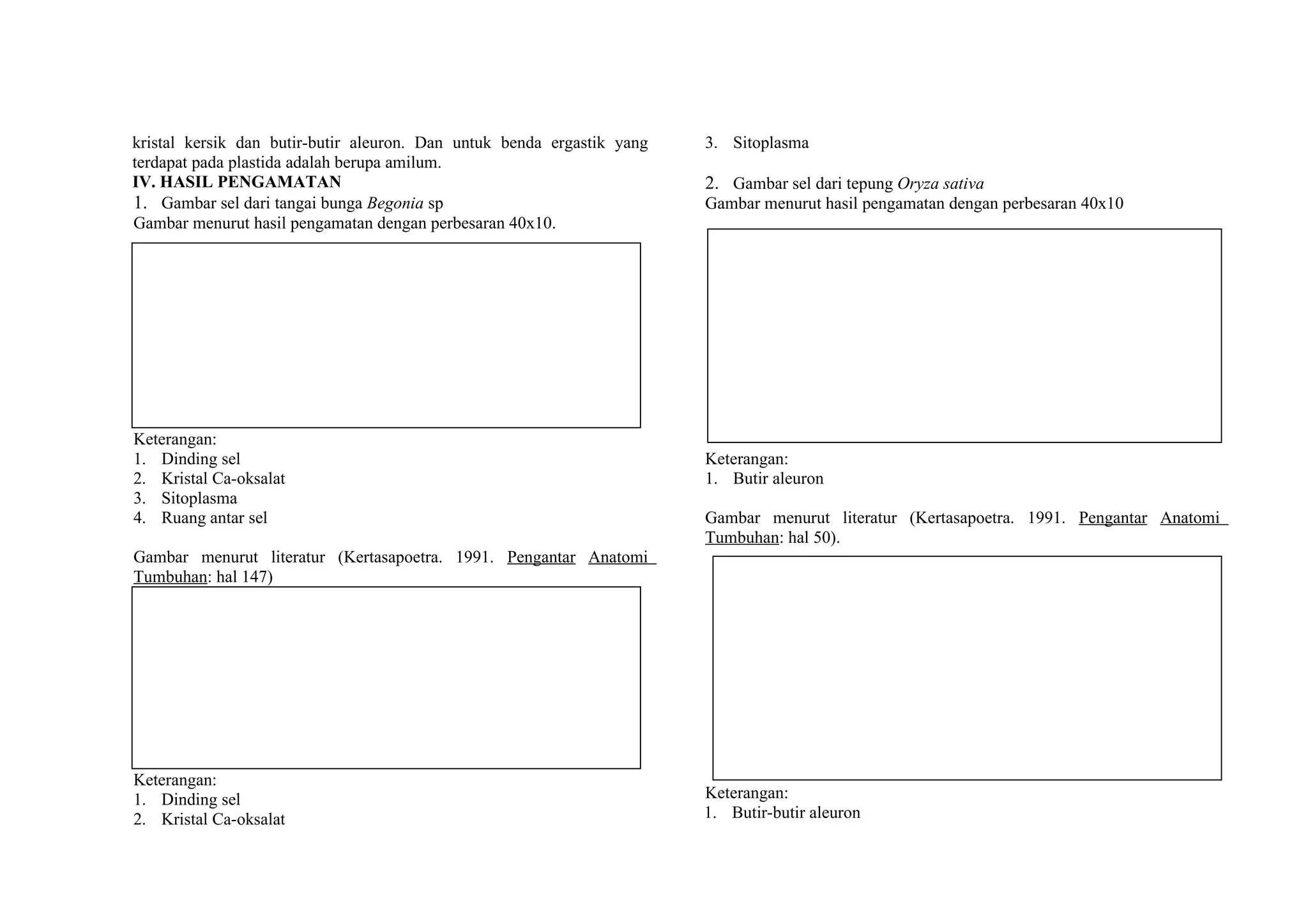 Antum praktikum | DOC
