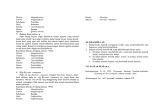 Antum praktikum | DOC