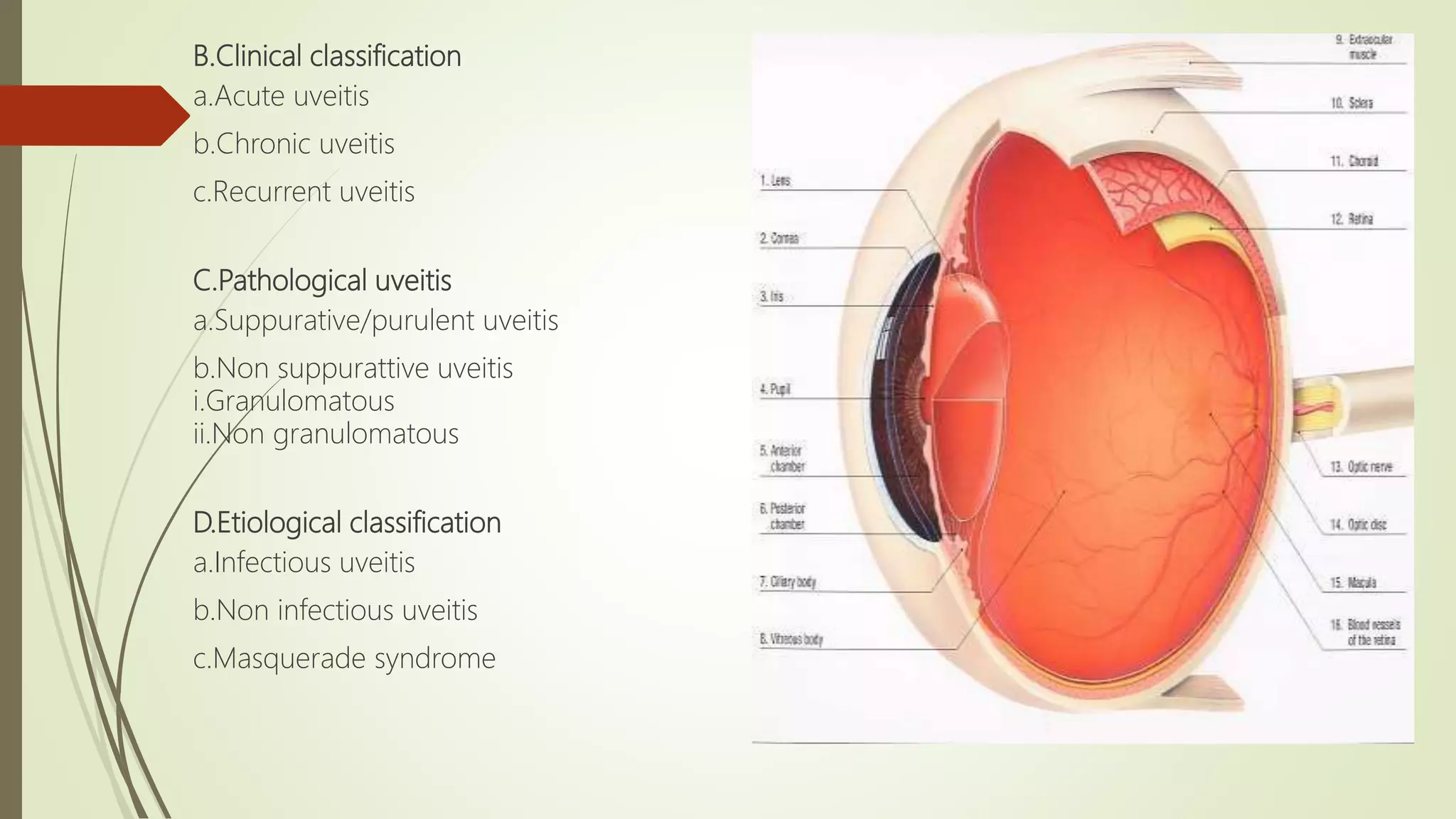 Anterior uveitis - SIGNS, SYMPTOMS AND TREATMENT | PPTX