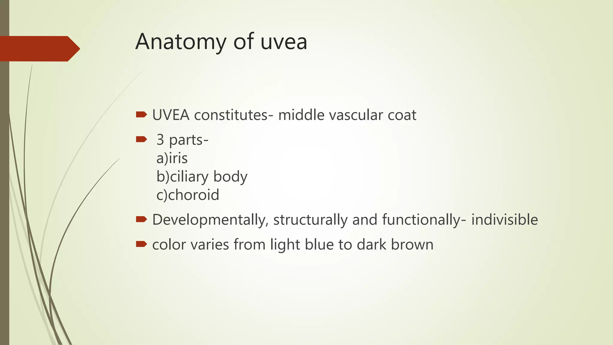 Anterior uveitis - SIGNS, SYMPTOMS AND TREATMENT | PPTX | Eye and ...