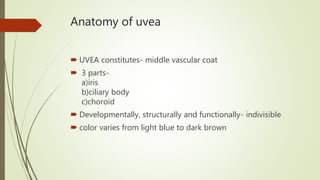 Anterior uveitis - SIGNS, SYMPTOMS AND TREATMENT | PPTX