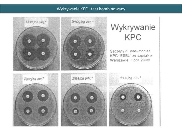 Antybiotykooporność dzień 2