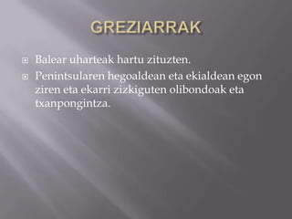 Antzin aroa ekaitz | PPTX