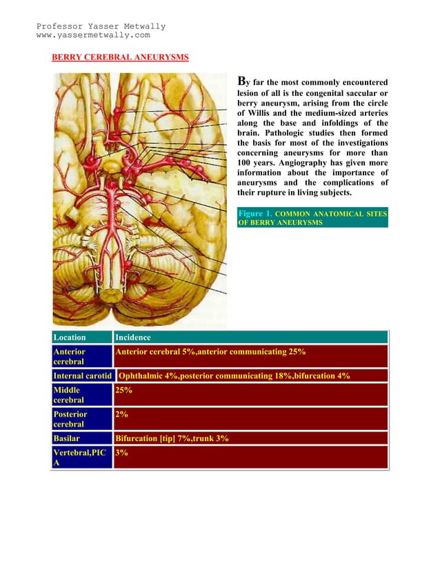 Topic of the month: Radiological pathology of intracranial aneurysms | PDF