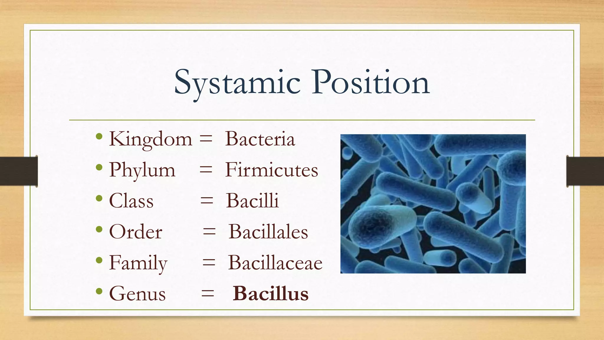 Bacillus -collection and isolation | PPTX