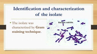Bacillus -collection and isolation | PPTX