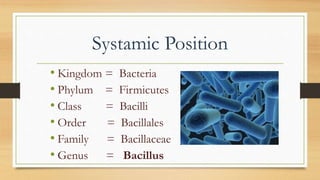 Bacillus -collection and isolation | PPTX