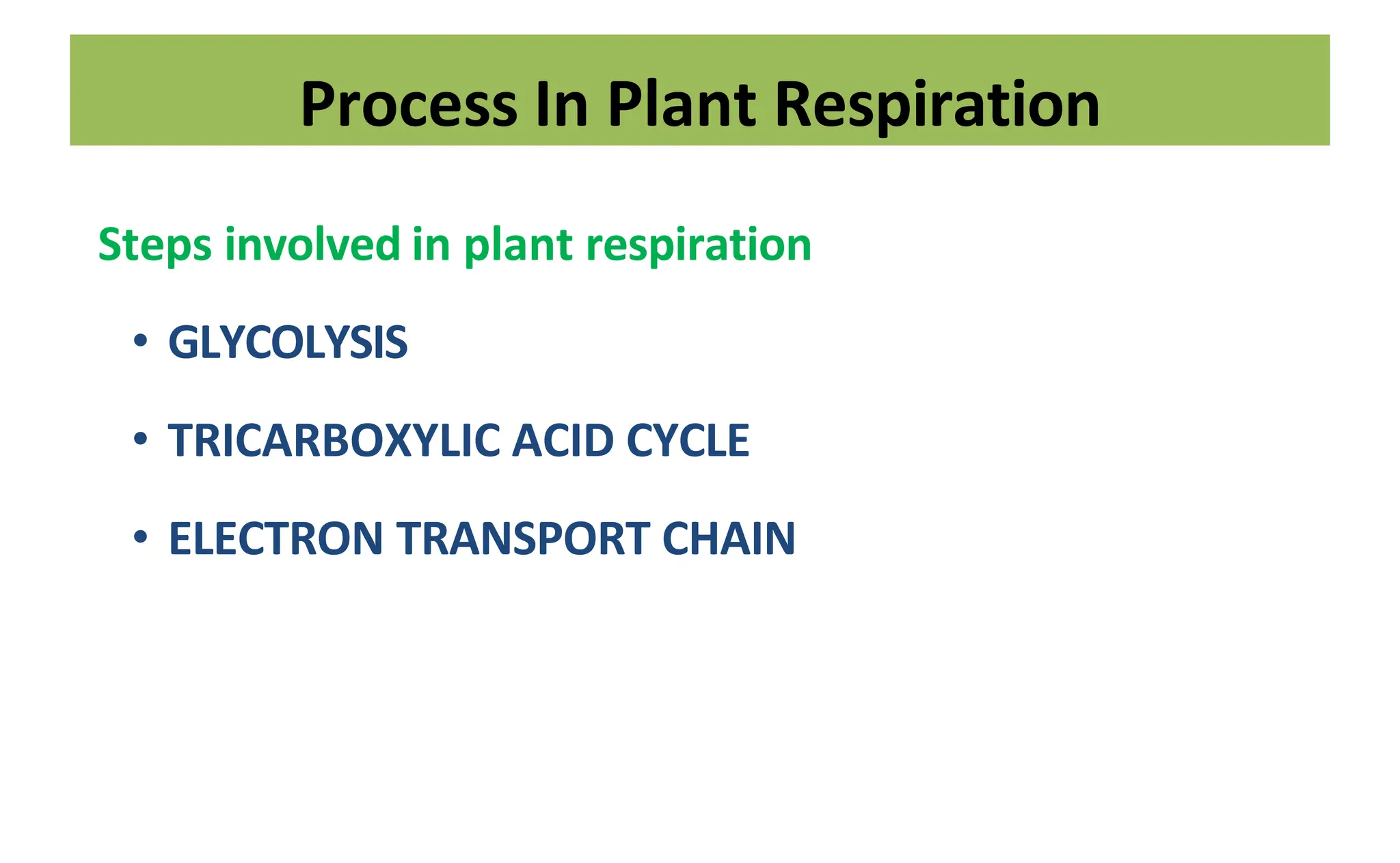 Respiration in higher plants class 11th NCERT bio | PPTX
