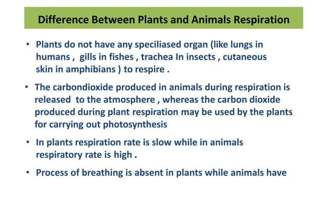 Respiration in higher plants class 11th NCERT bio | PPTX | Lung and ...