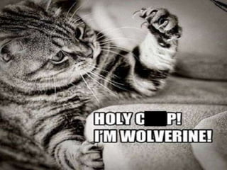 Wolverine | PPTX