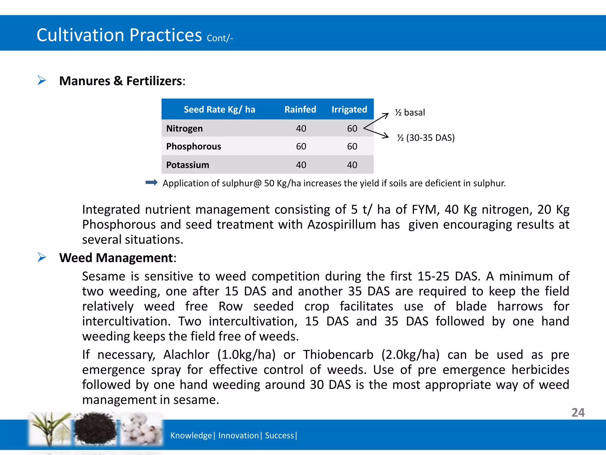 Anubhaw sugarcane sesame cotton | PPTX