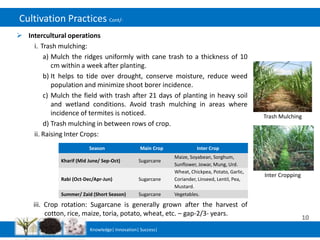 Anubhaw sugarcane sesame cotton | PPTX