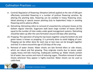 Anubhaw sugarcane sesame cotton | PPTX