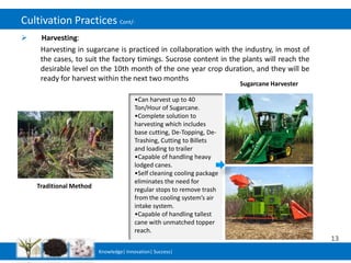 Anubhaw sugarcane sesame cotton | PPTX