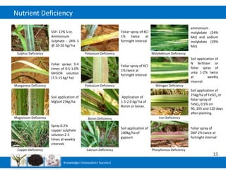 Anubhaw sugarcane sesame cotton | PPT