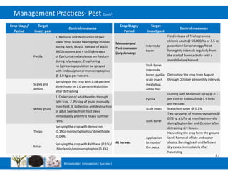 Anubhaw sugarcane sesame cotton | PPTX