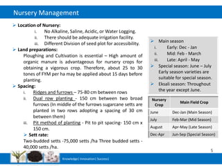 Anubhaw sugarcane sesame cotton | PPTX