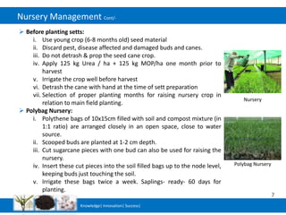 Anubhaw sugarcane sesame cotton | PPTX