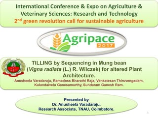 anu conference 2017.ppt