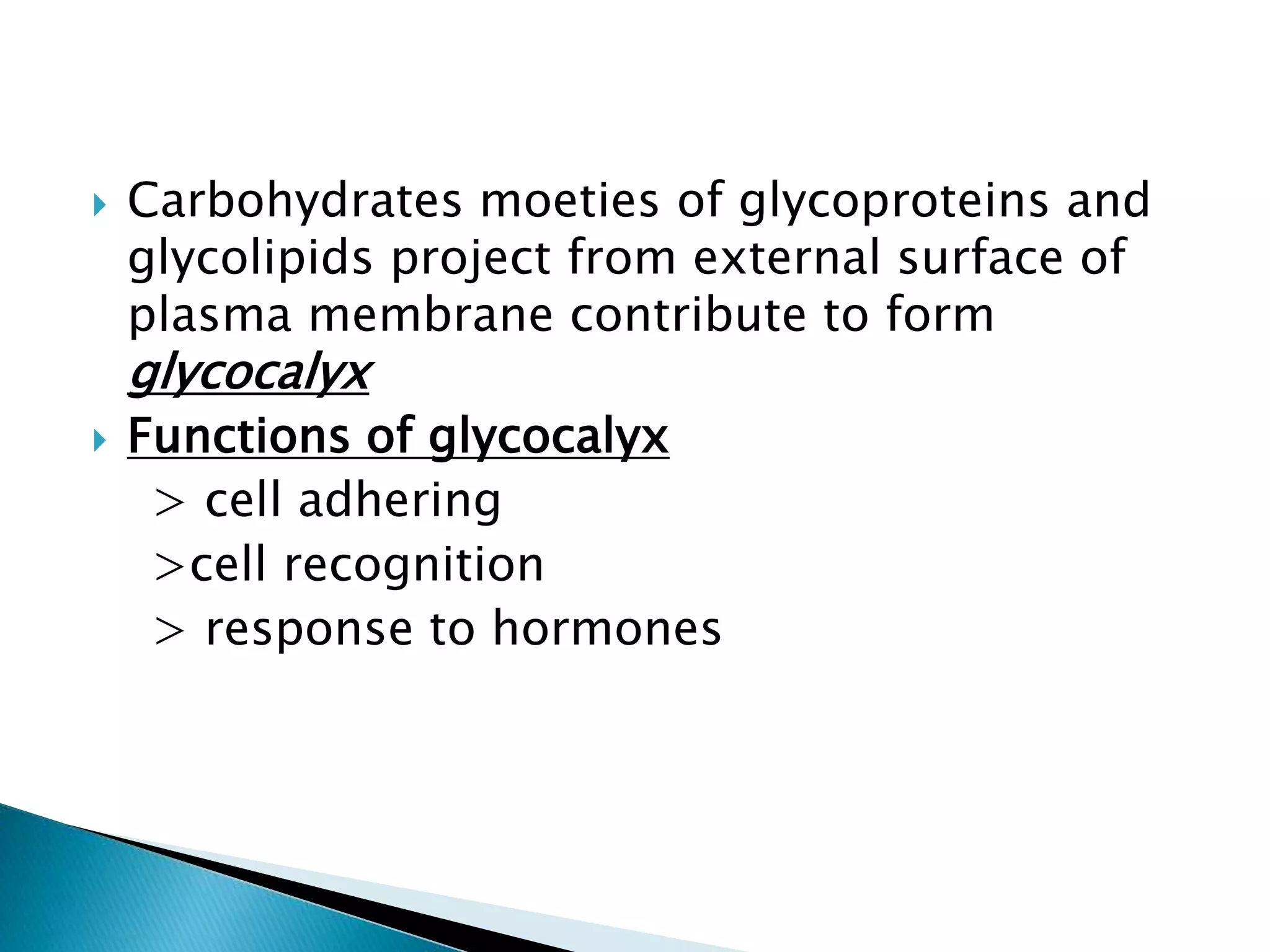 Cell Membrane | PPTX