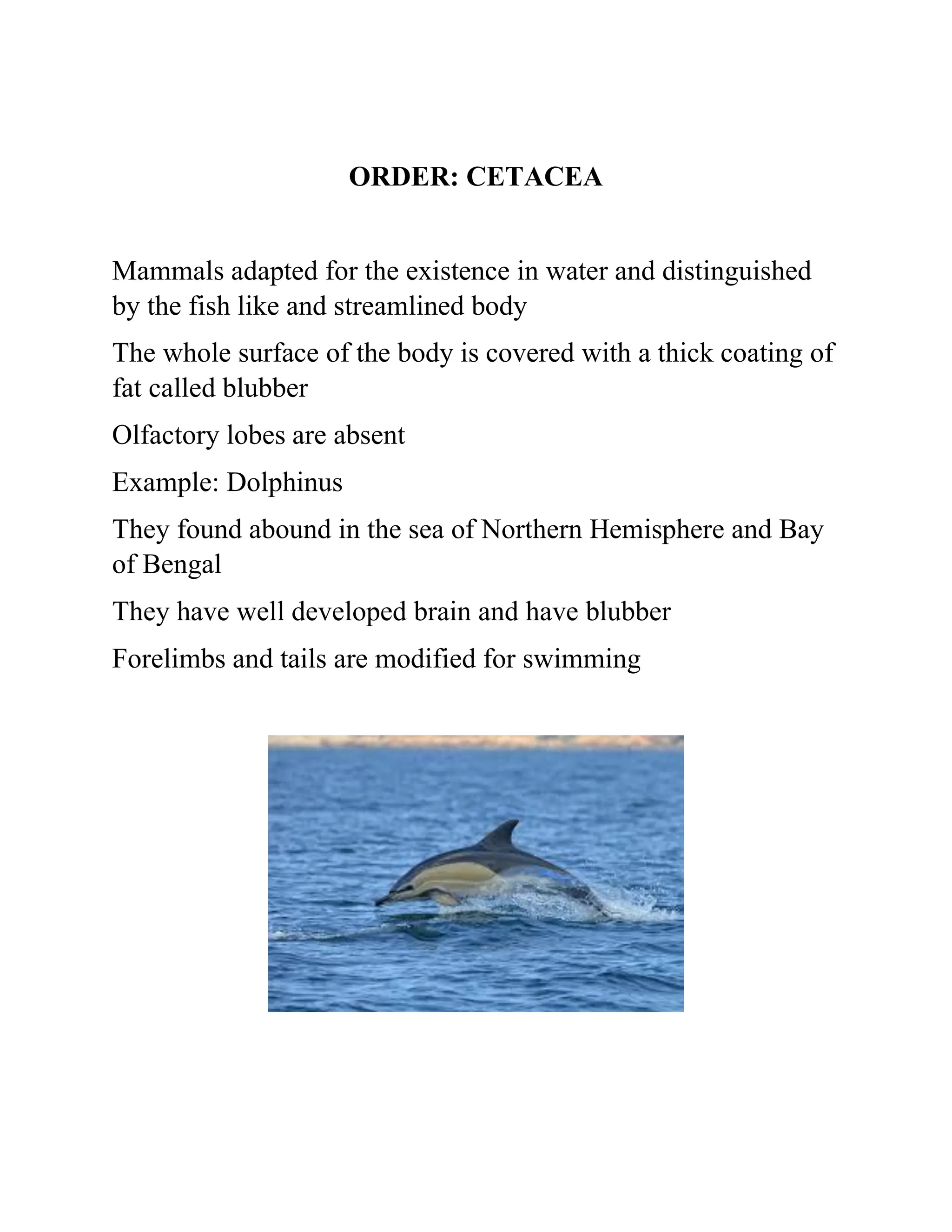 DIGITAL ALBUM MAKING - MAMMALS NATURAL SCIENCE OPTIONAL | PDF