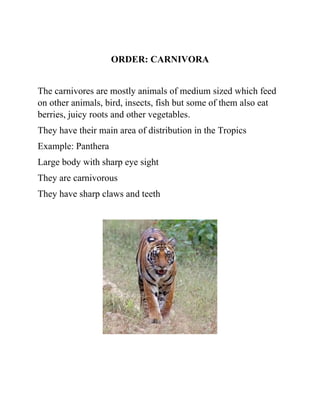 DIGITAL ALBUM MAKING - MAMMALS NATURAL SCIENCE OPTIONAL | PDF