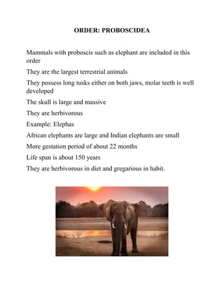 DIGITAL ALBUM MAKING - MAMMALS NATURAL SCIENCE OPTIONAL | PDF