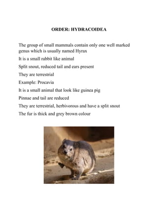 DIGITAL ALBUM MAKING - MAMMALS NATURAL SCIENCE OPTIONAL | PDF