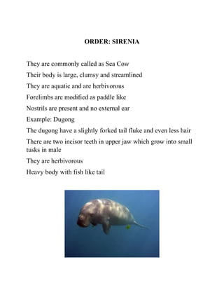 DIGITAL ALBUM MAKING - MAMMALS NATURAL SCIENCE OPTIONAL | PDF