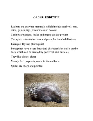 DIGITAL ALBUM MAKING - MAMMALS NATURAL SCIENCE OPTIONAL | PDF