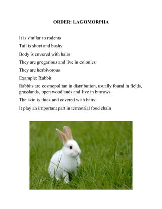 DIGITAL ALBUM MAKING - MAMMALS NATURAL SCIENCE OPTIONAL | PDF