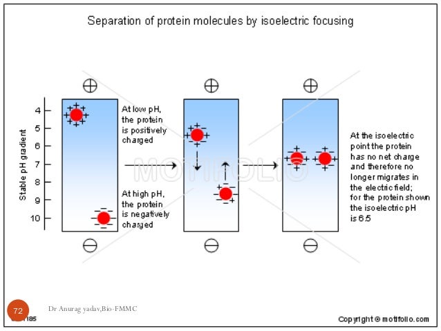 Electrophoresis complete